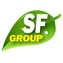 SF Group – JOBO.sc